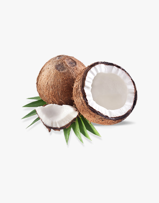 Organic coconet – Vegist - The Vegetables, Supermarket & Organic Food ...
