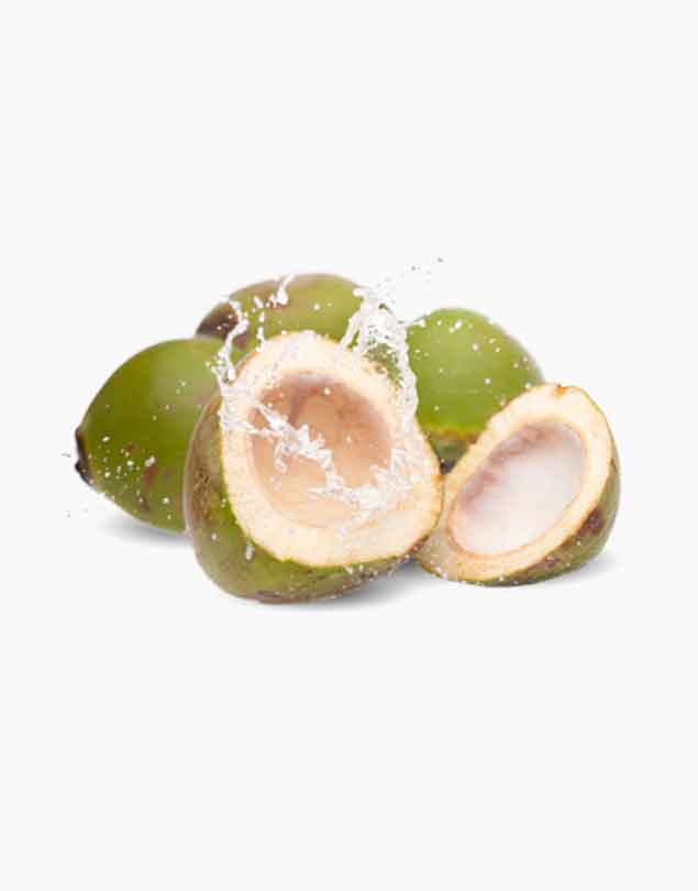 Organic coconet – Vegist